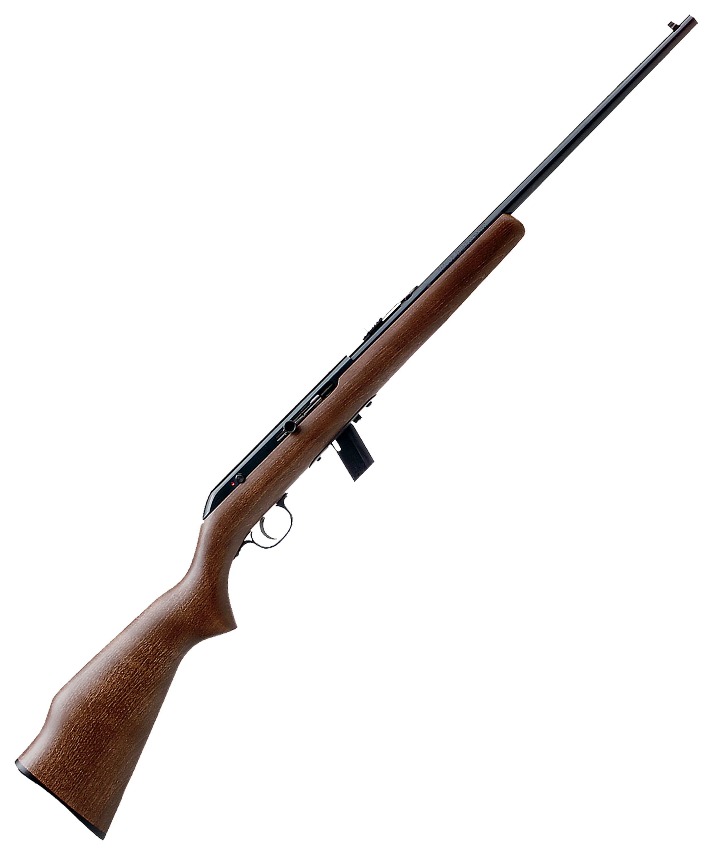 Savage 64 G Semi-Auto Rimfire Rifle | Mack's Prairie Wings